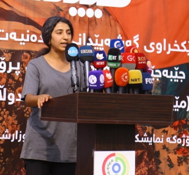 Dr. Choman Hardi Publishes Feminine: The feminist installation that ...